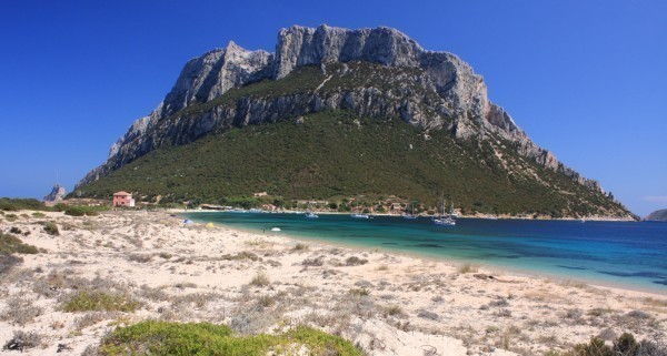 La Playa - Pittulongu Beach in sardinia :: Beachoo