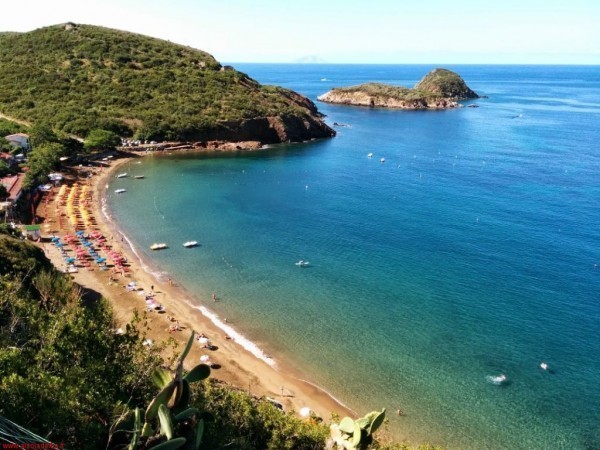 Spiaggia dell'Innamorata beach in Isola d'Elba, Toscana :: Beachoo